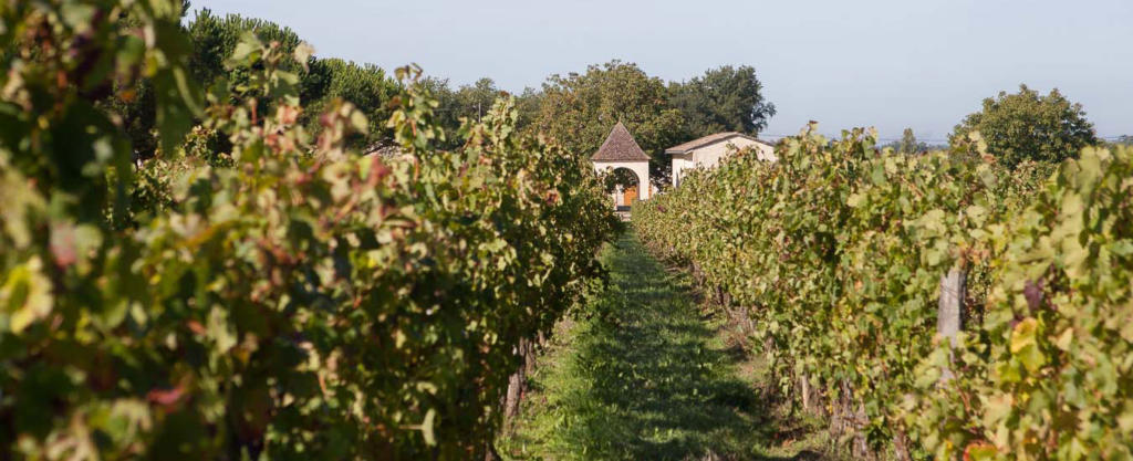 The estate – Closerie Saint Roc